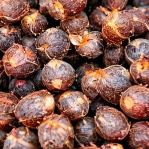 Saw Palmetto Berries – Saw Palmetto